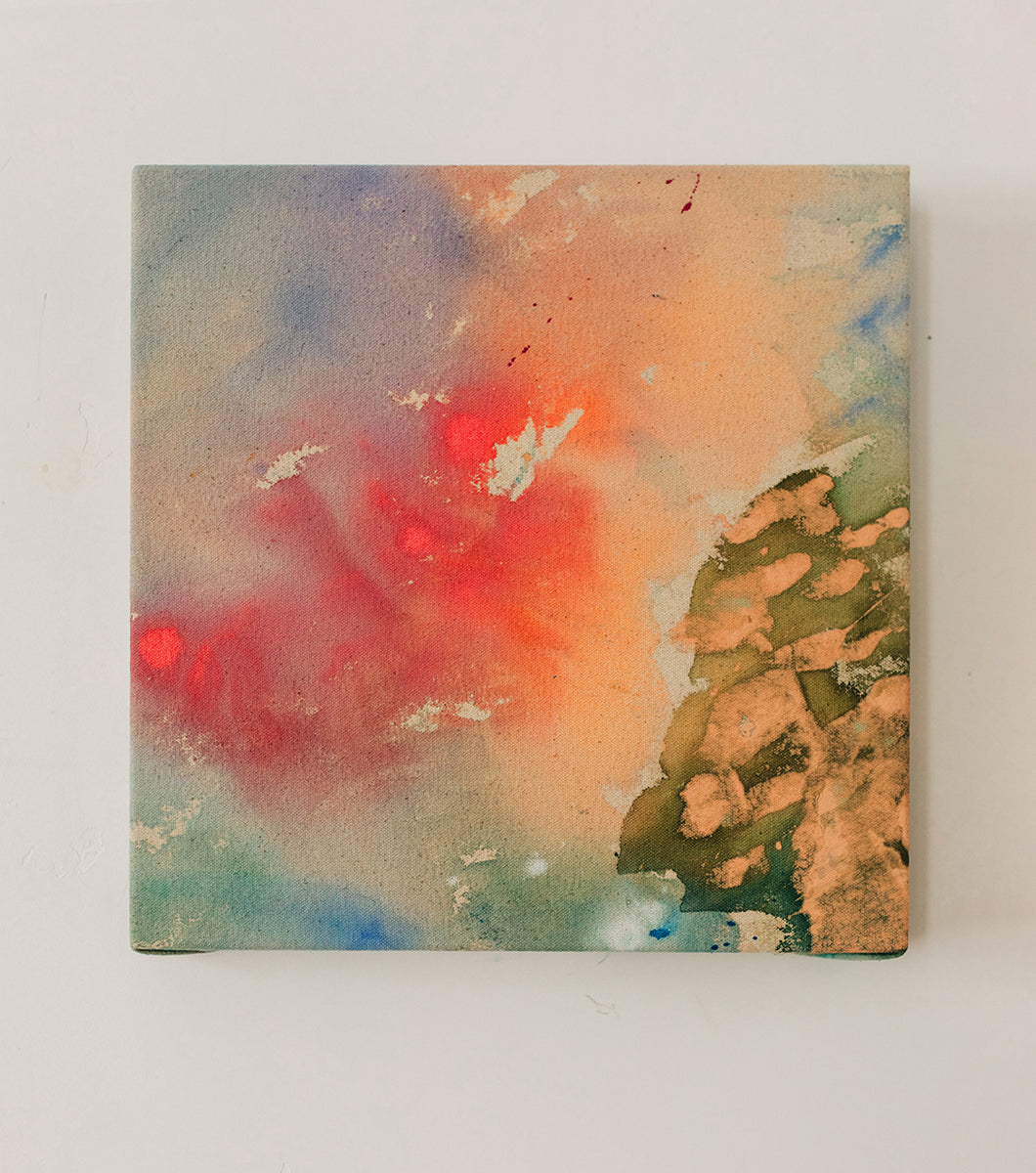 Forest Fleeting – haleytitus